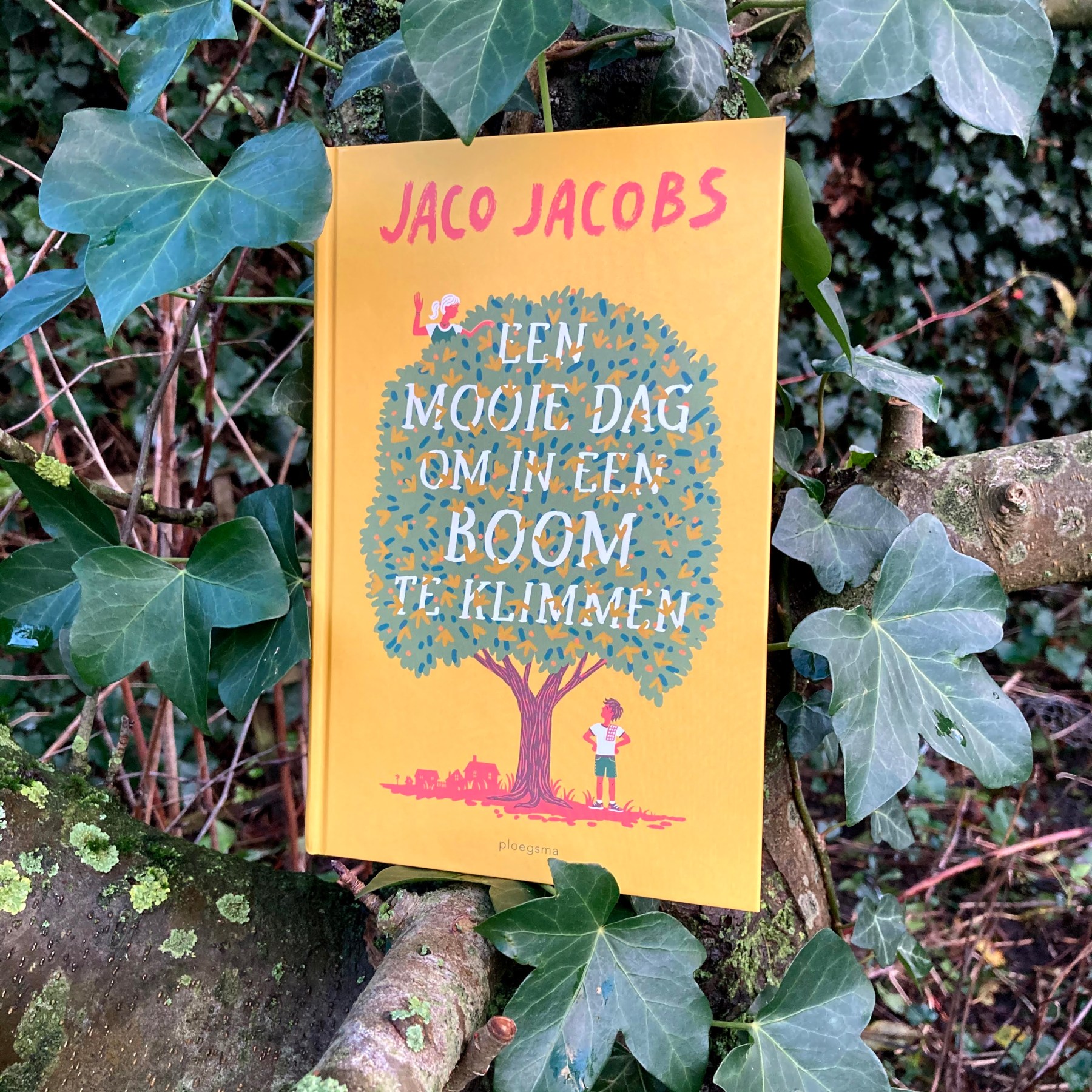 Een mooie dag om in een boom te klimmen – Jaco Jacobs – Het Boekenrijk