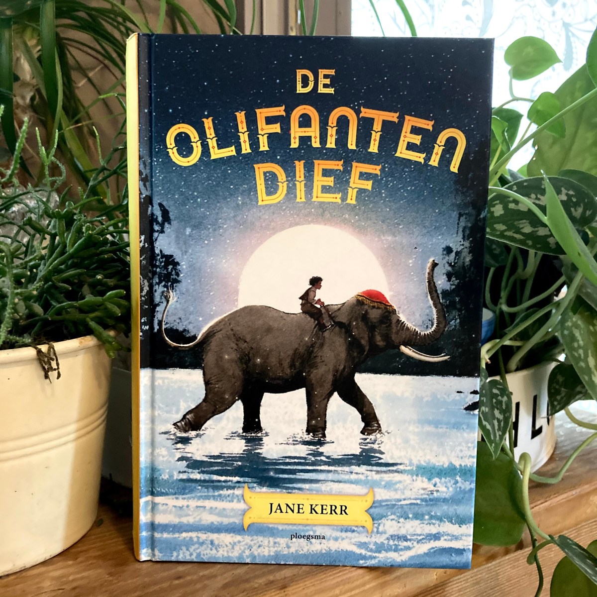 De olifantendief – Jane Kerr – Het Boekenrijk