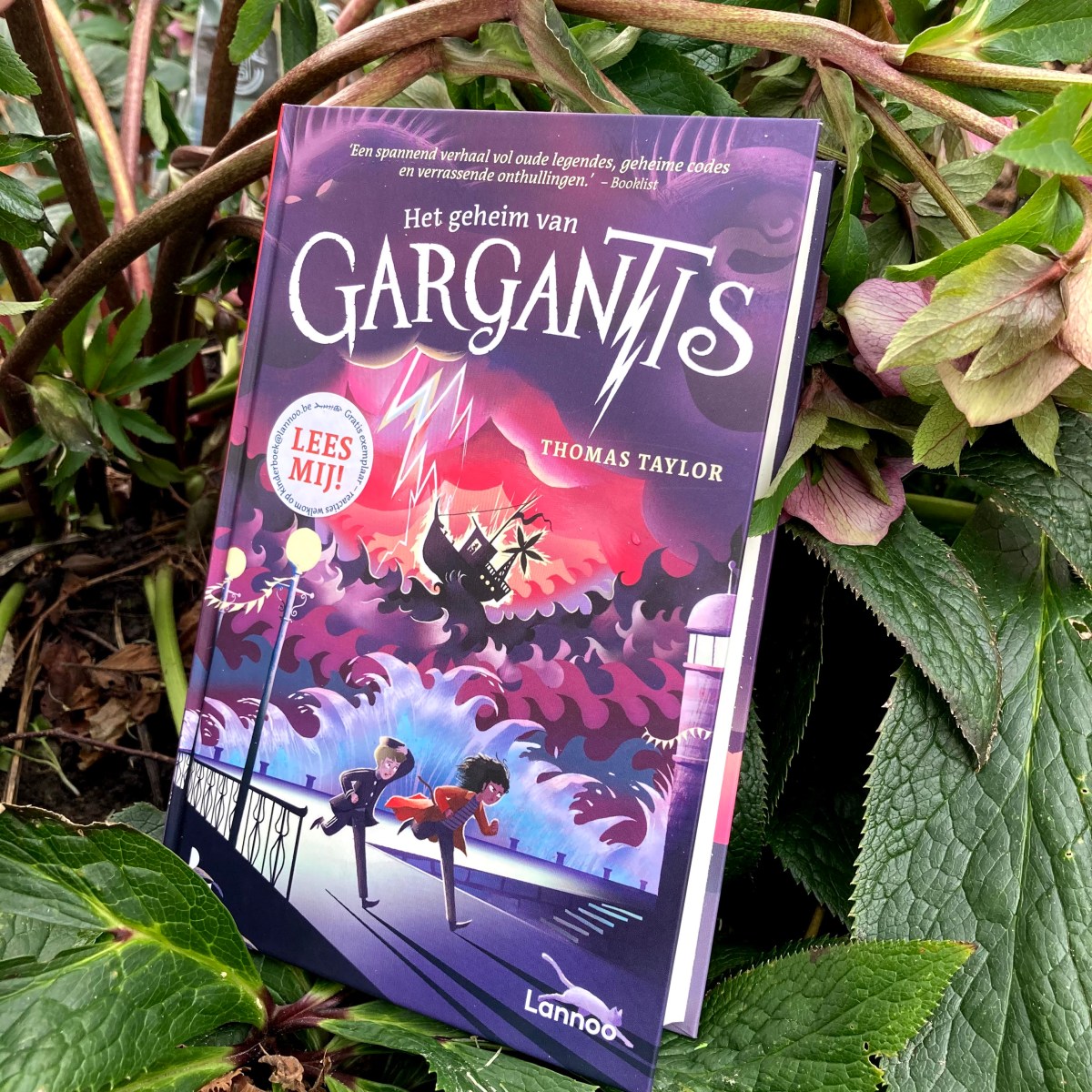 Het geheim van Gargantis – Thomas Taylor – Het Boekenrijk