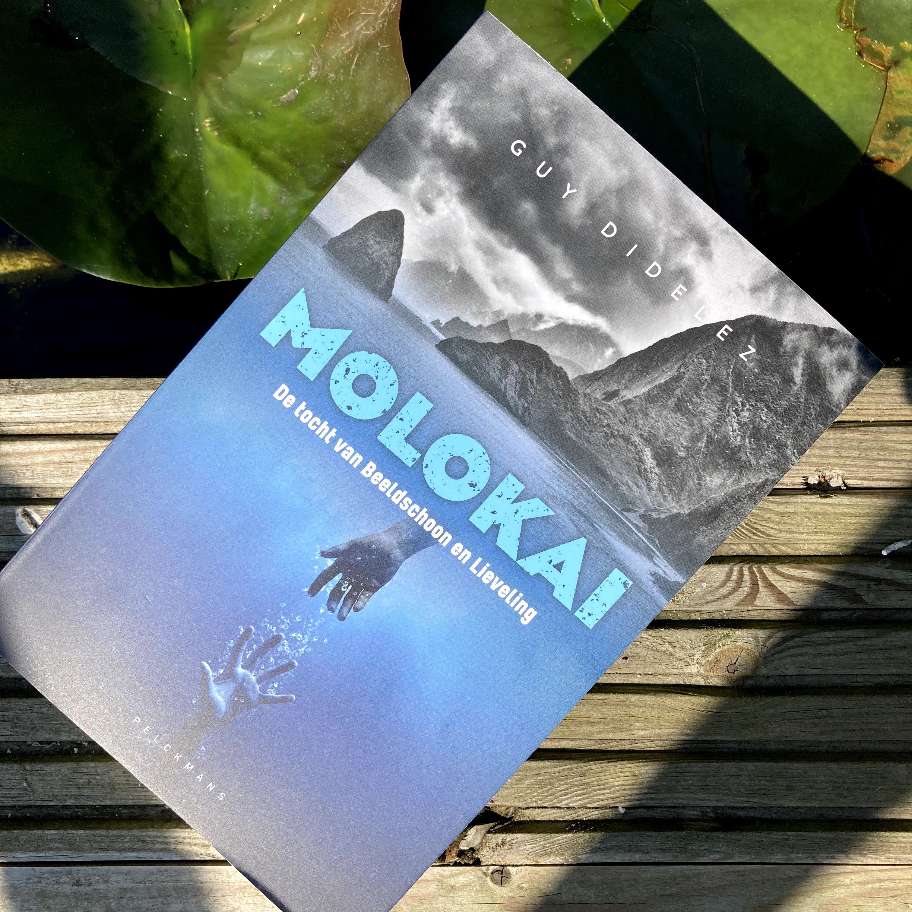 Molokai – De tocht van Beeldschoon en Lieveling – Guy Didelez – Het ...