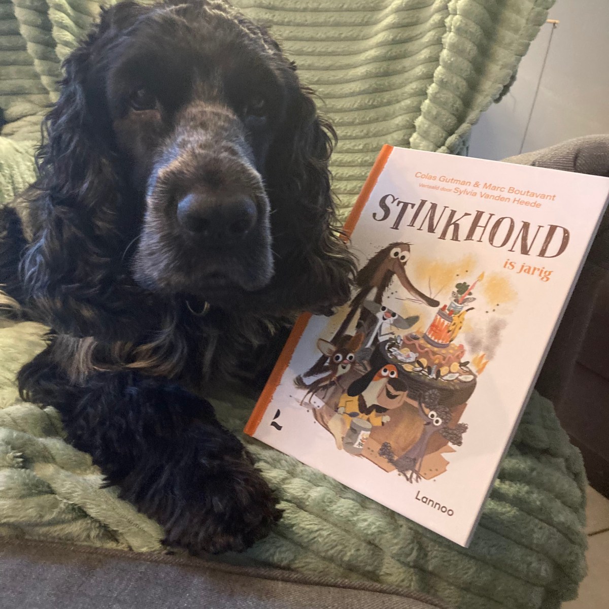 Stinkhond is jarig – Colas Gutman & Marc Boutavant – Het Boekenrijk