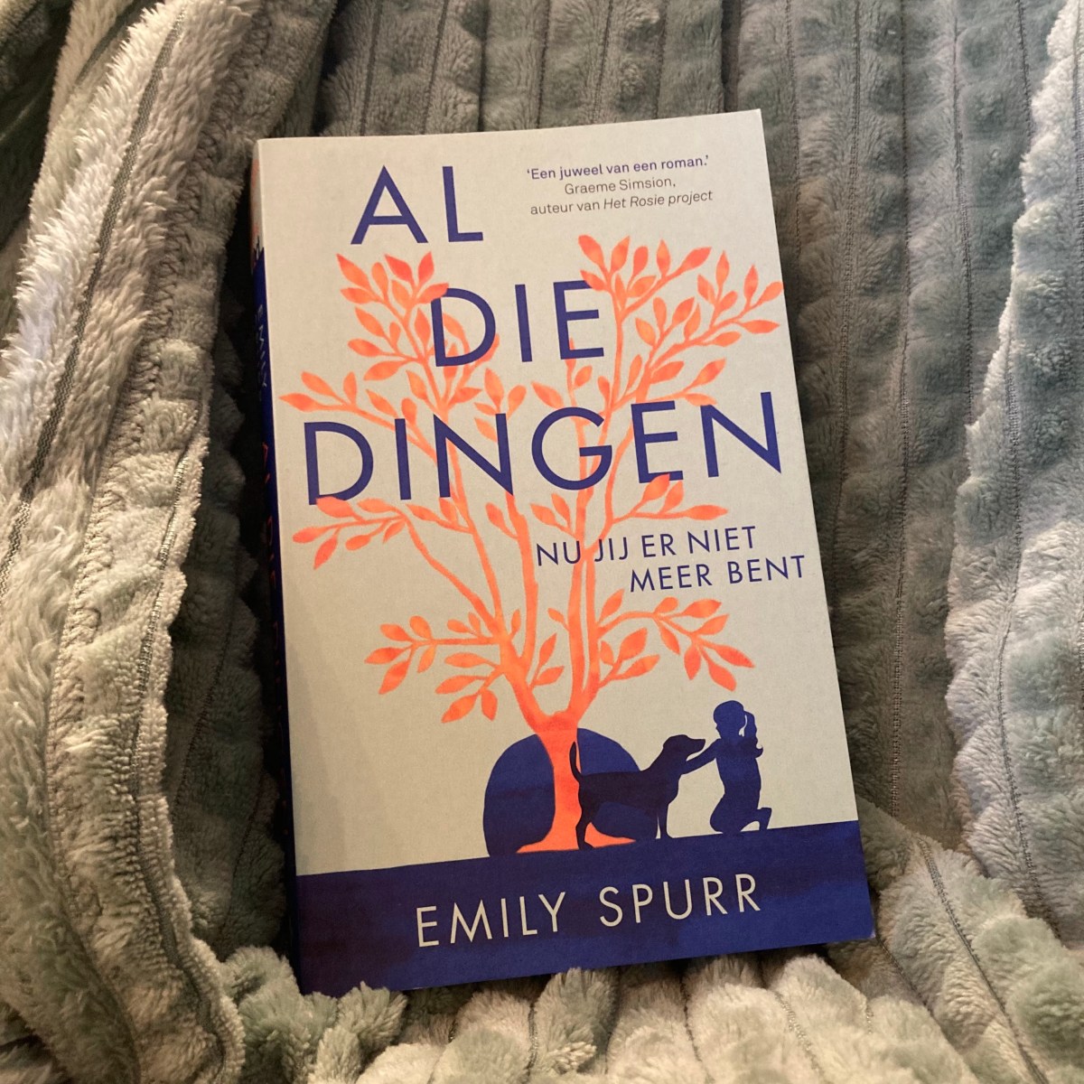 Al die dingen nu jij er niet meer bent – Emily Spurr – Het Boekenrijk