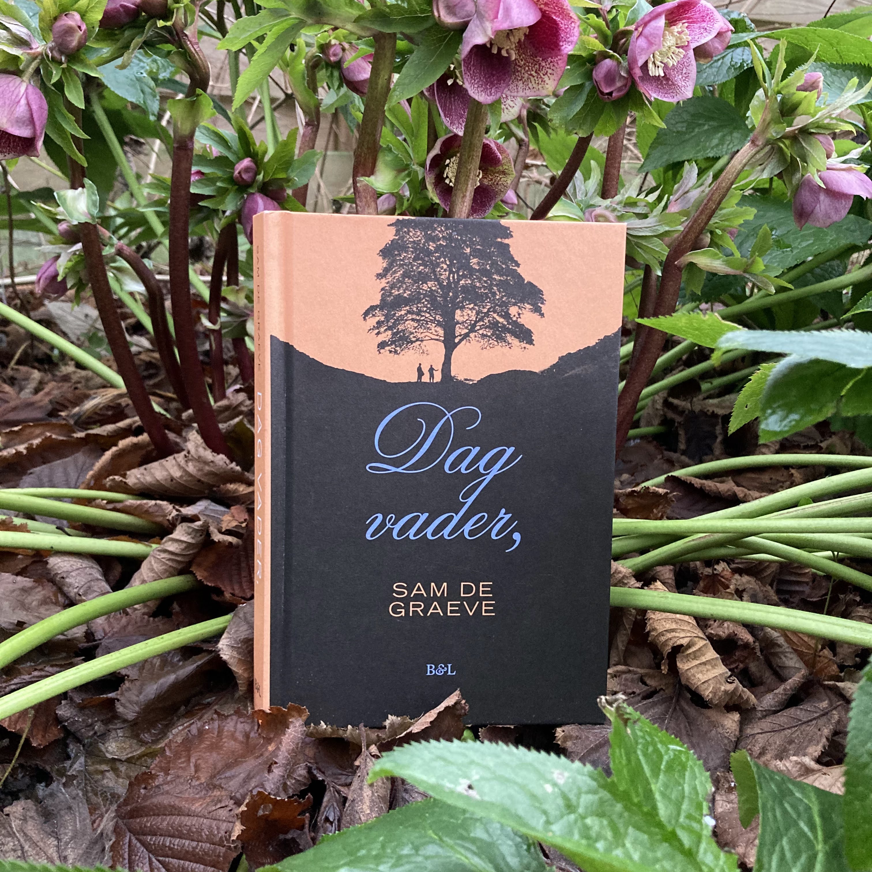 Dag Vader, – Sam De Graeve – Het Boekenrijk
