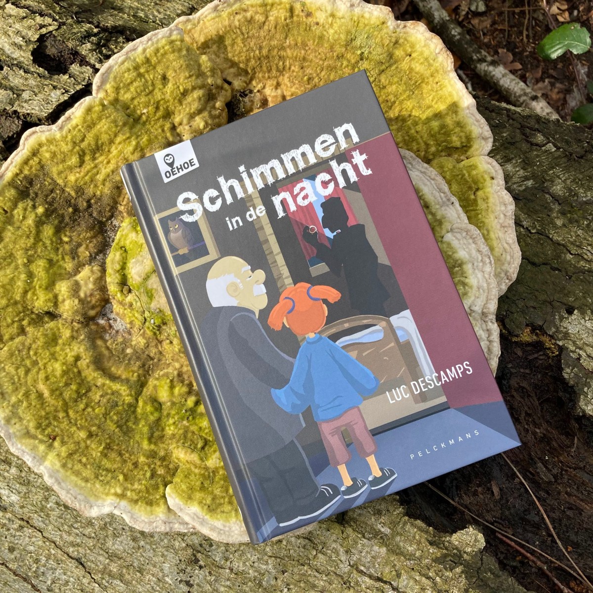 Schimmen in de nacht – Luc Descamps – Het Boekenrijk