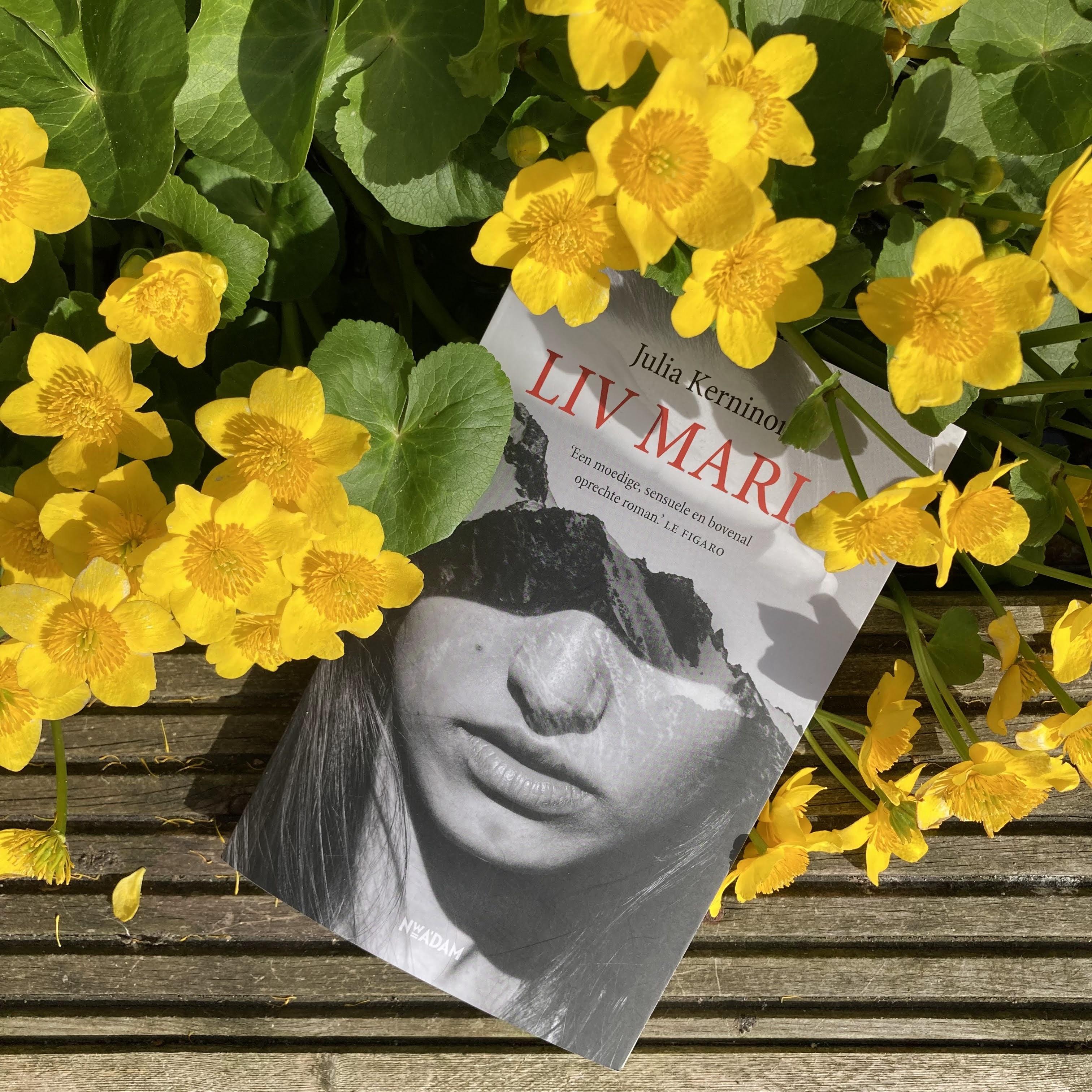 Liv Maria – Julia Kerninon – Het Boekenrijk