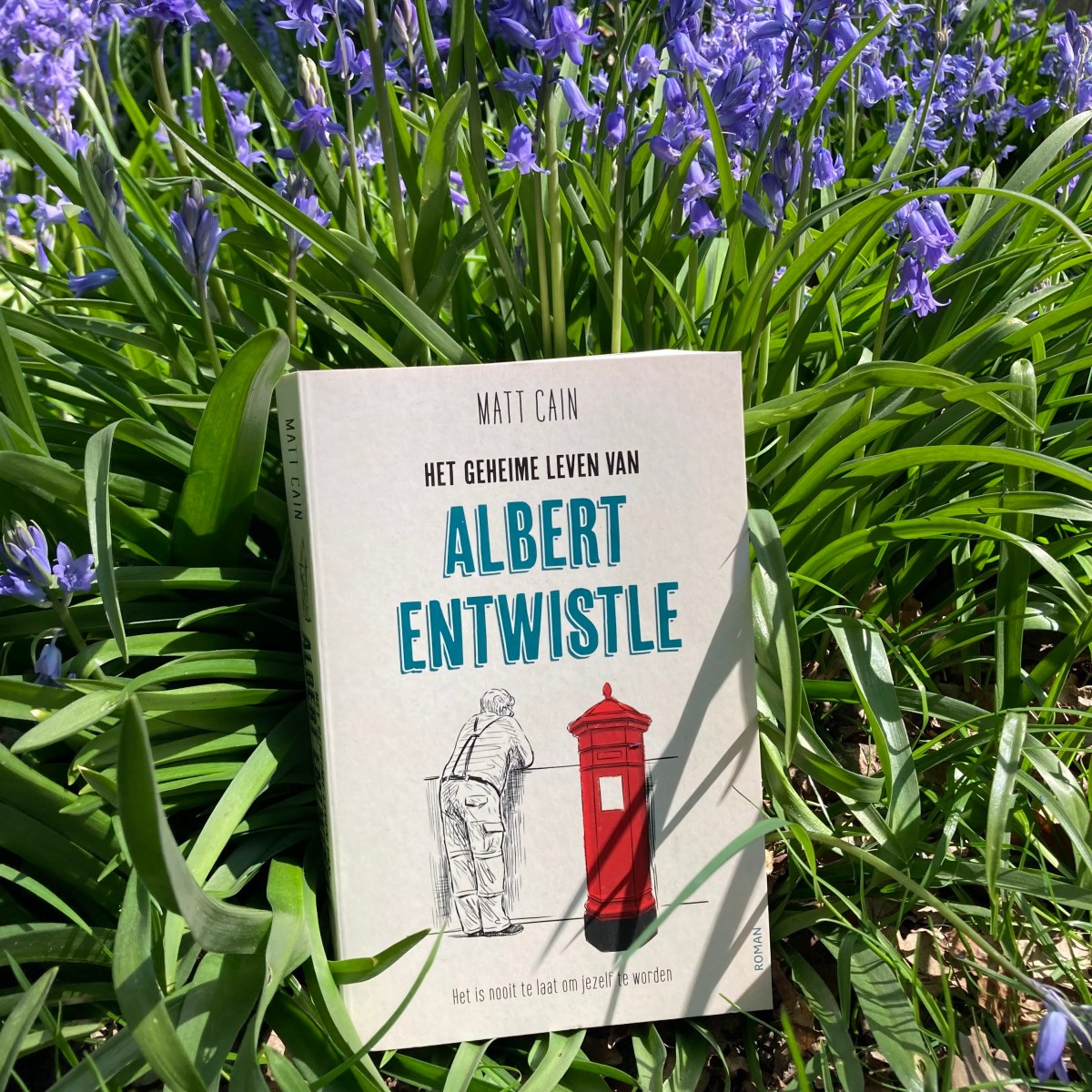 Het geheime leven van Albert Entwistle – Matt Cain – Het Boekenrijk