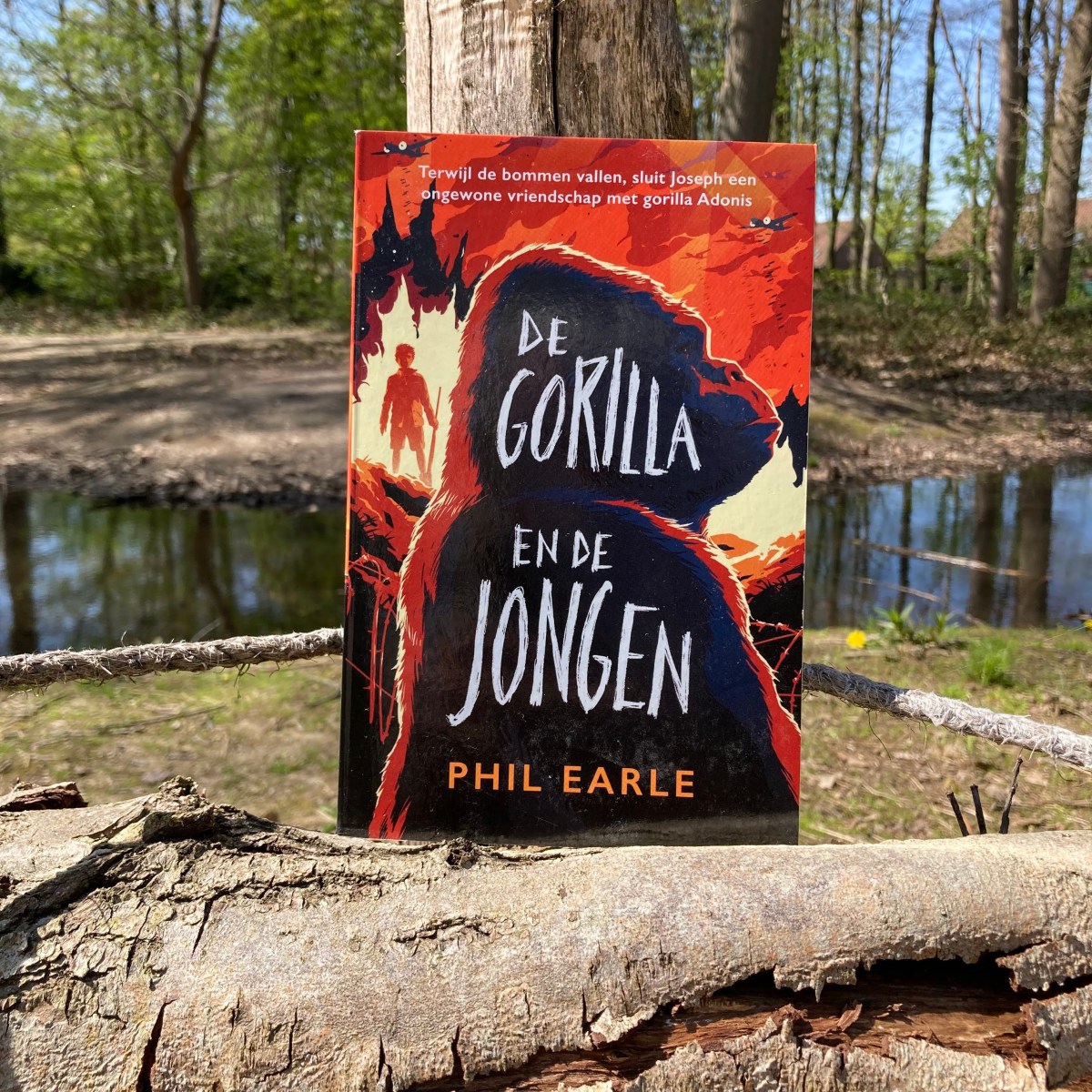 De gorilla en de jongen – Phil Earle – Het Boekenrijk