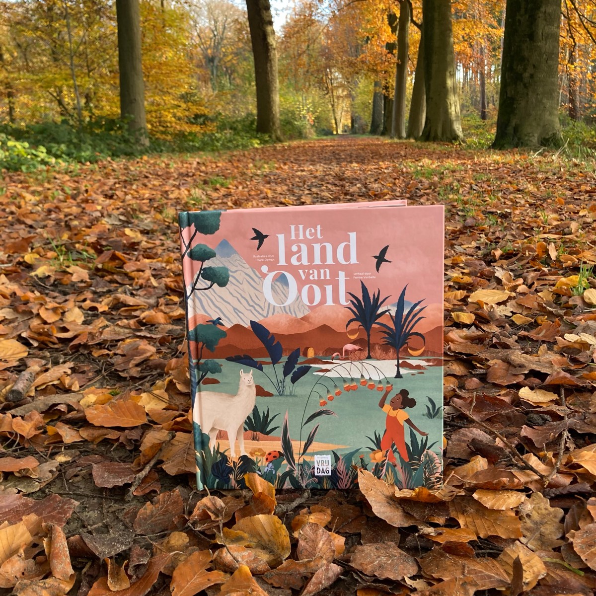 Het land van Ooit – Femke Vanbelle & Flore Deman – Het Boekenrijk
