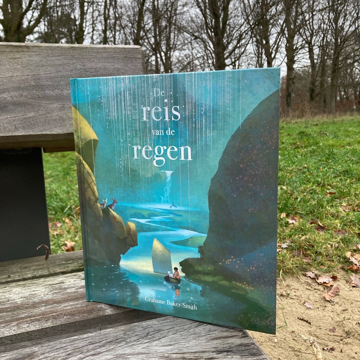 De reis van de regen – Grahame Baker Smith – Het Boekenrijk