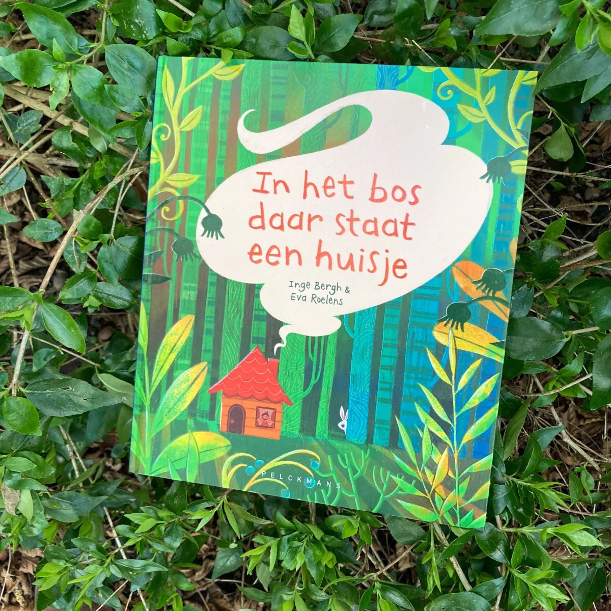 In het bos daar staat een huisje – Inge Bergh & Eva Roelens – Het ...