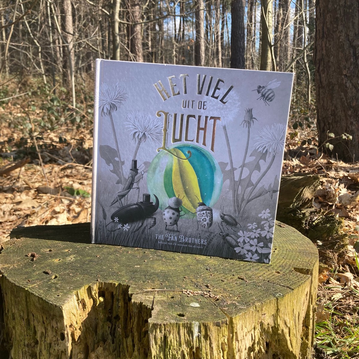 Het viel uit de lucht – The Fan Brothers – Het Boekenrijk