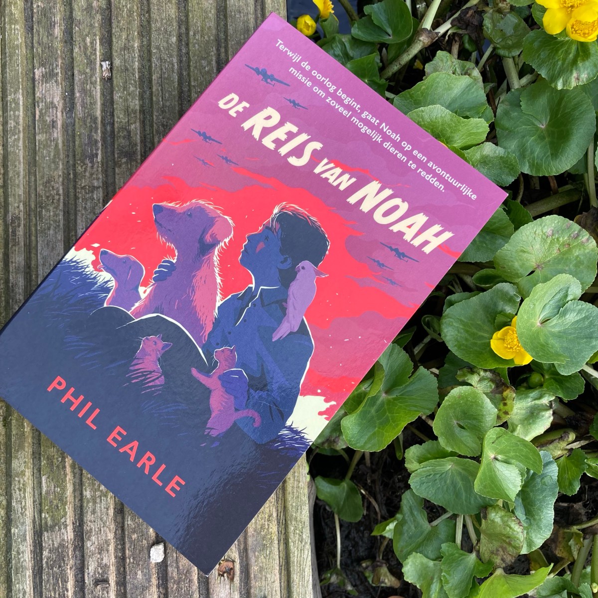 De reis van Noah – Phil Earle – Het Boekenrijk