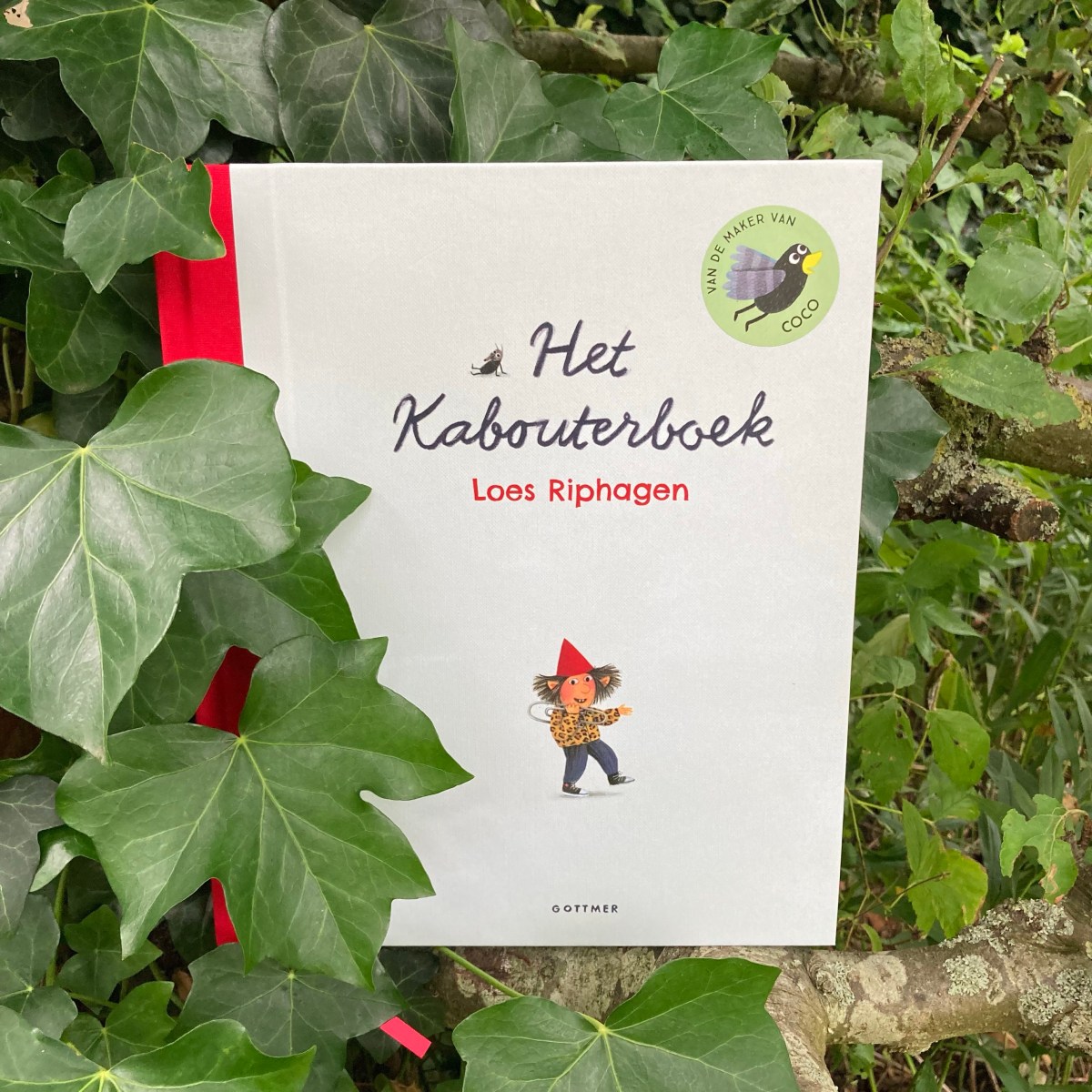 Het kabouterboek – Loes Riphagen – Het Boekenrijk