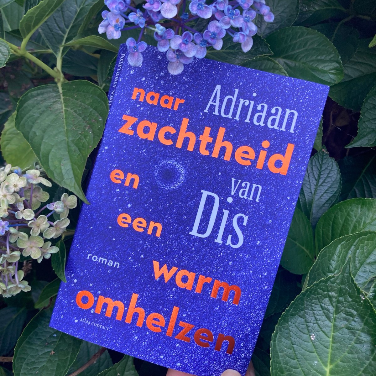 Naar zachtheid en een warm omhelzen – Adriaan van Dis – Het Boekenrijk