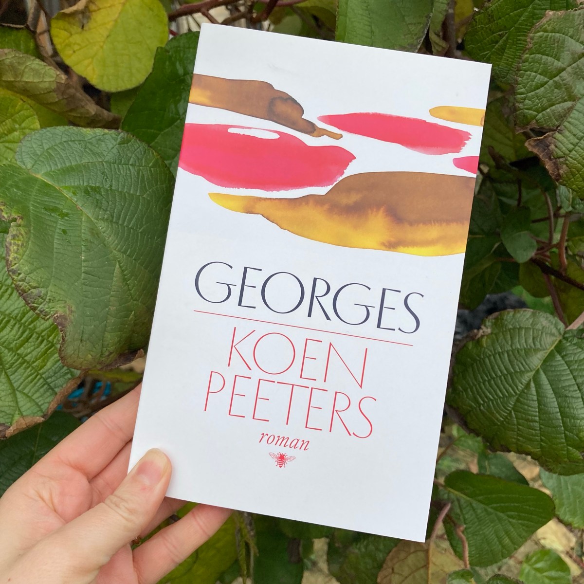 Georges – Koen Peeters – Het Boekenrijk