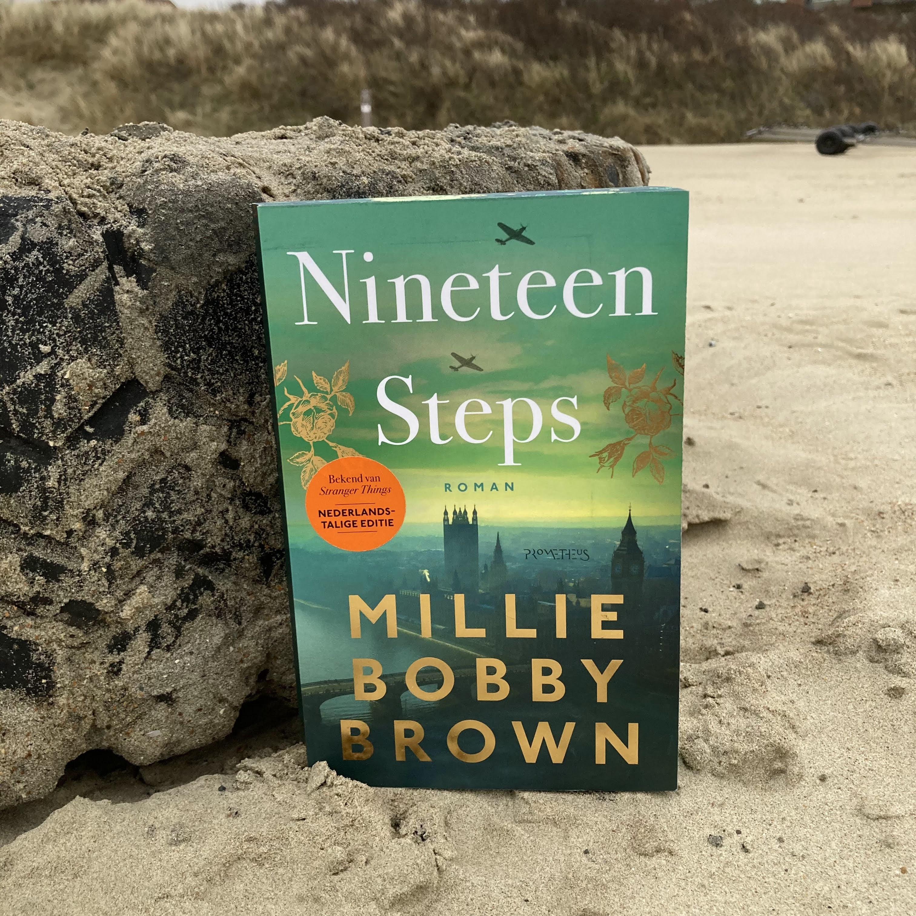 Nineteen steps – Millie Bobby Brown – Het Boekenrijk