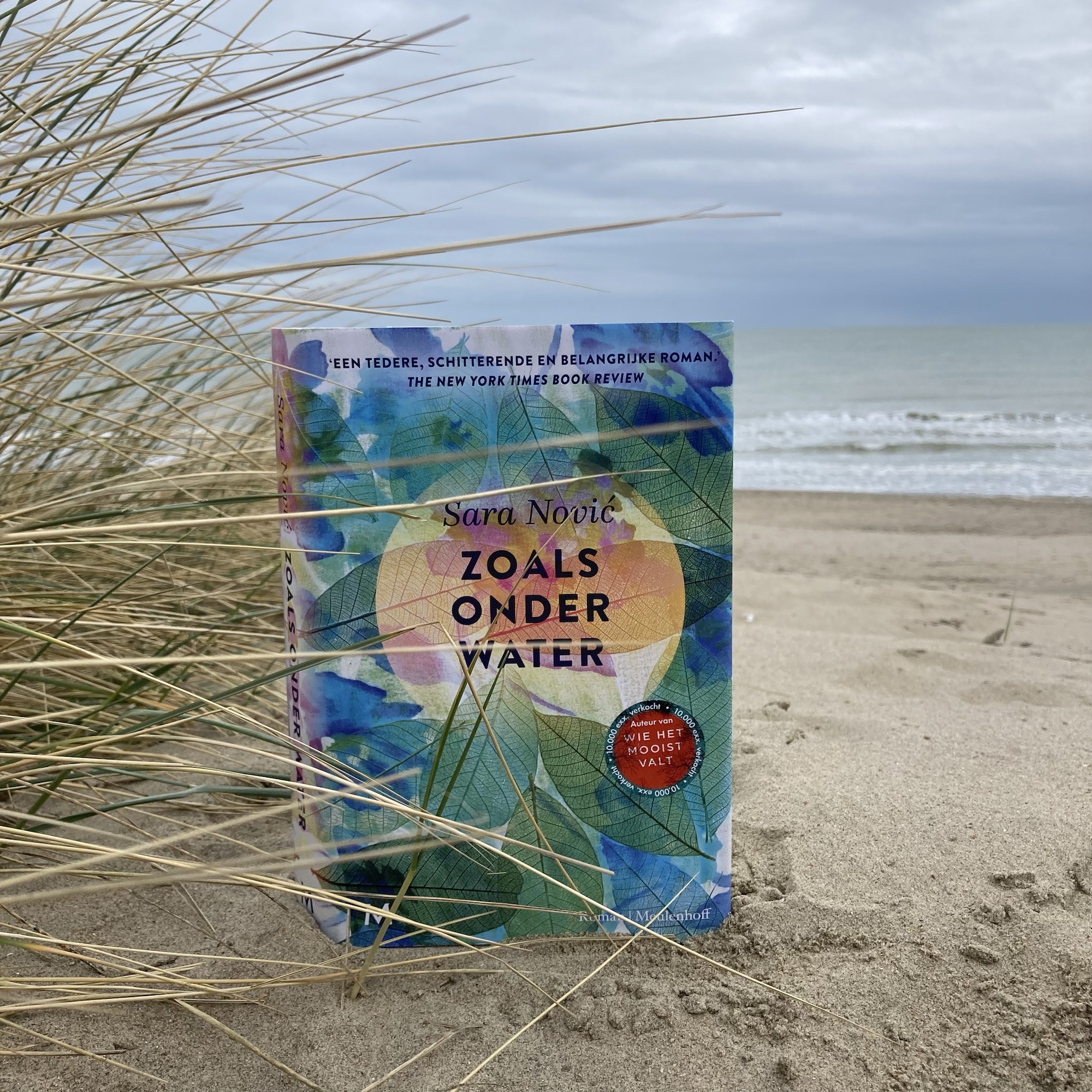 Zoals onder water – Sara Novic – Het Boekenrijk