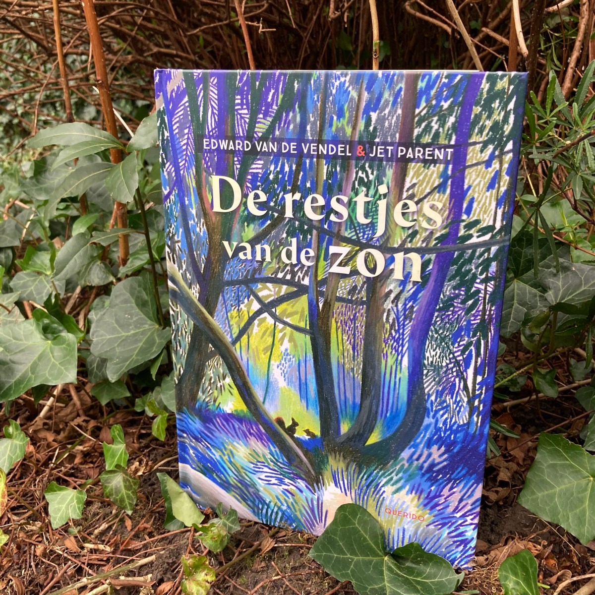 De restjes van de zon – Edward van de Vendel en Jet Parent – Het Boekenrijk