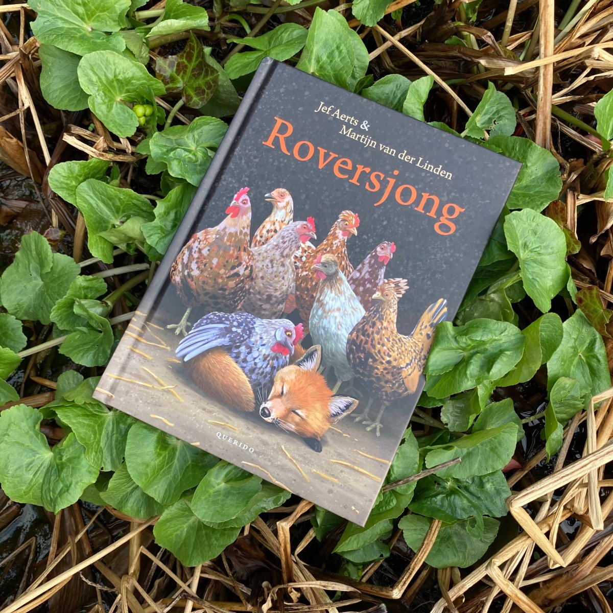 Roversjong – Jef Aerts & Martijn van der Linden – Het Boekenrijk