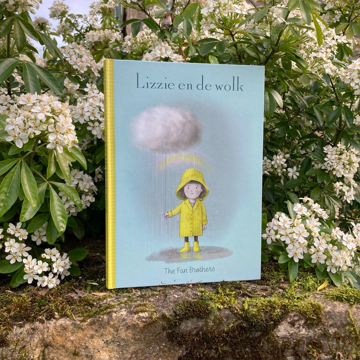 Lizzie en de wolk – The Fan Brothers – Het Boekenrijk