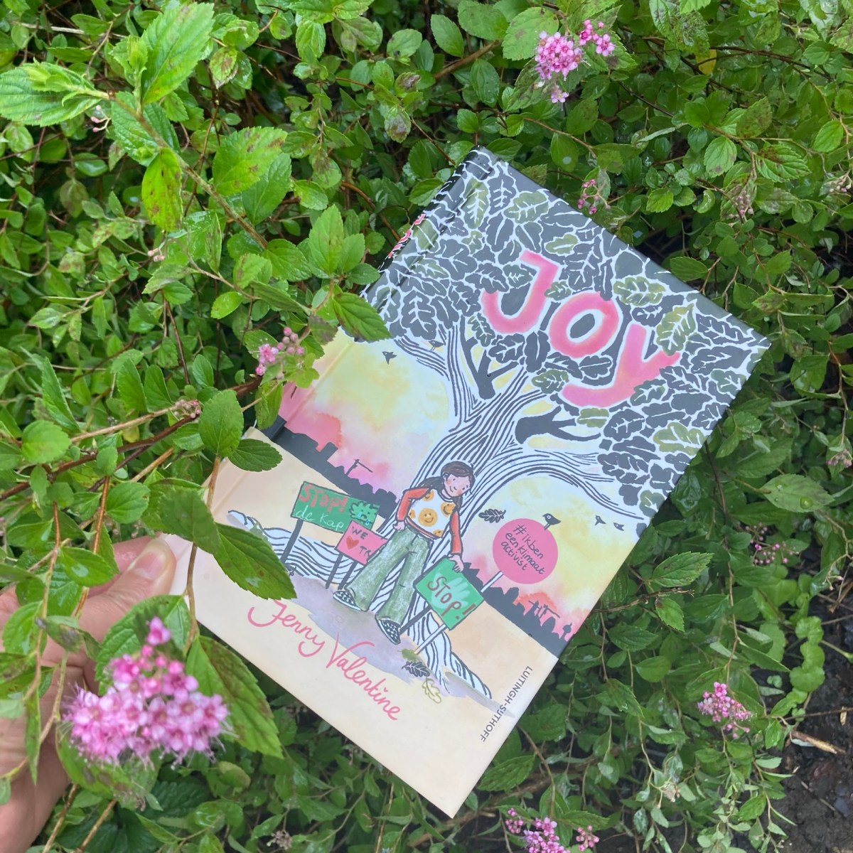 Joy – Jenny Valentine – Het Boekenrijk
