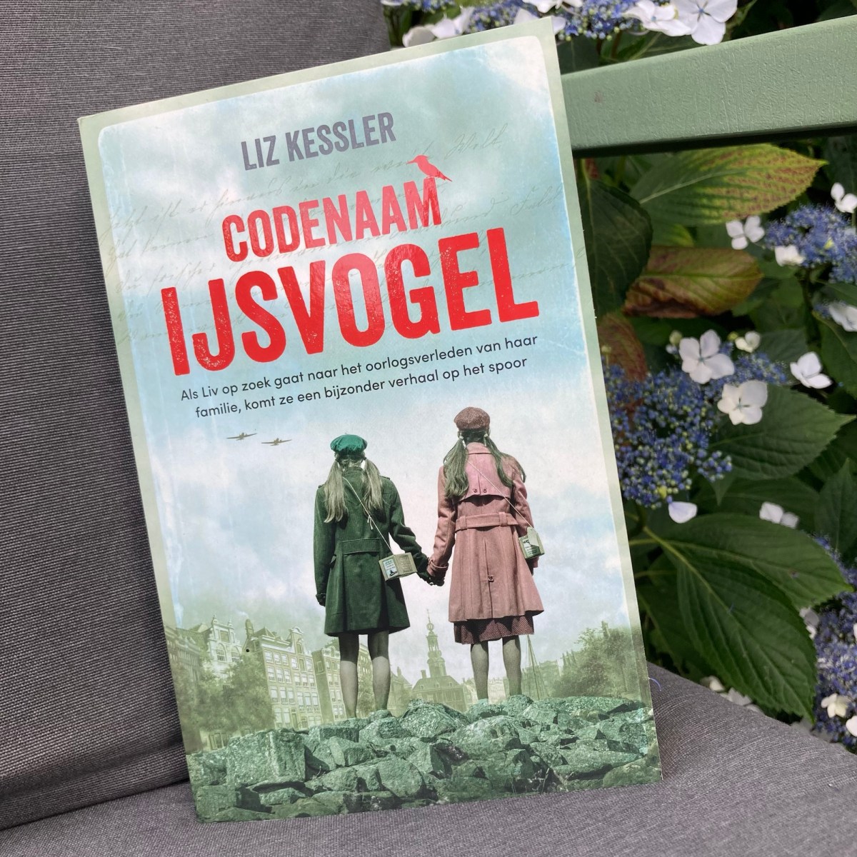 Codenaam IJsvogel – Liz Kessler – Het Boekenrijk